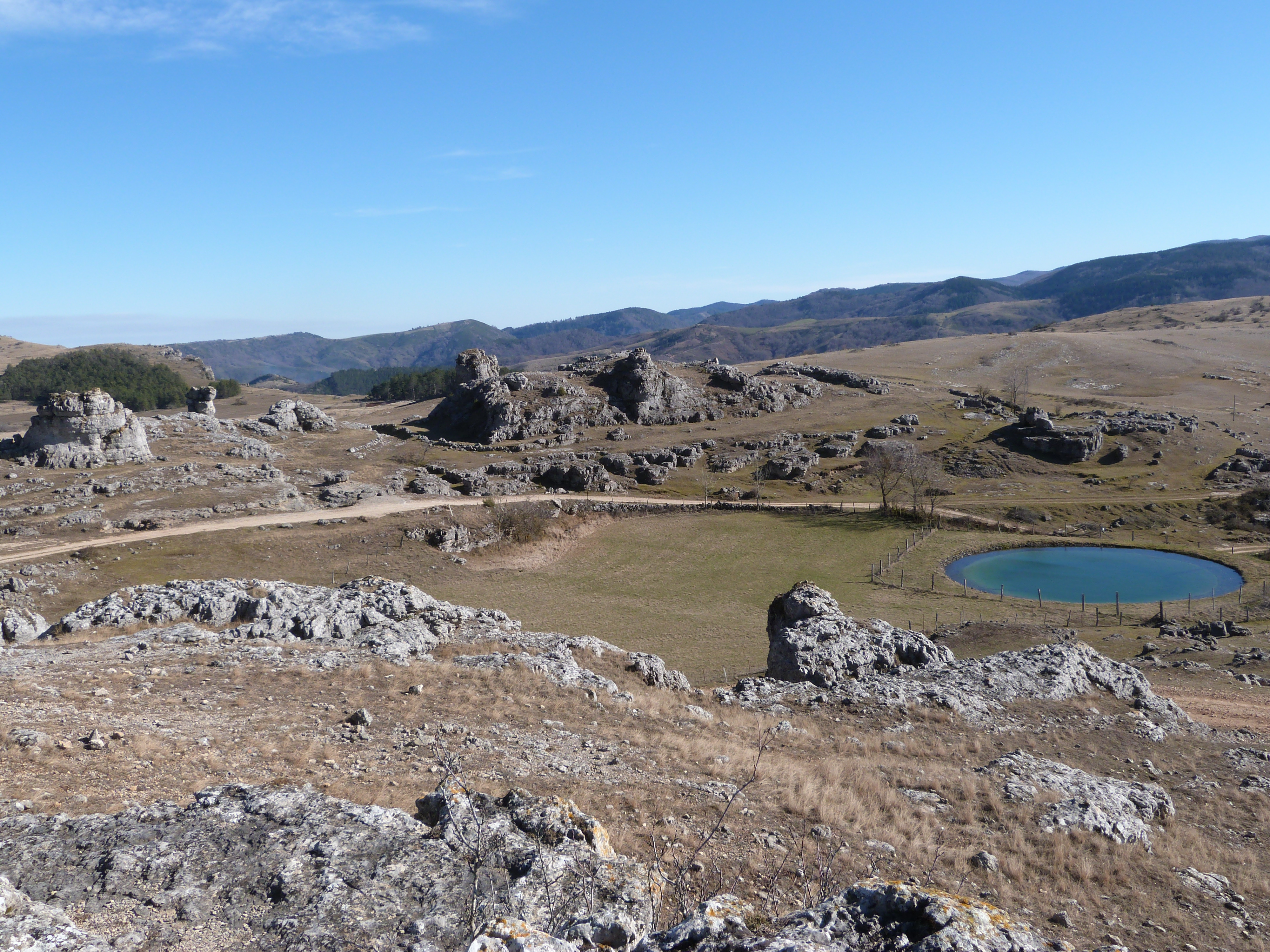 Une lavogne | La Reine des prés